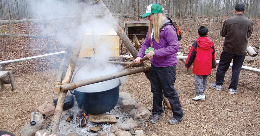 Get ready for Maple Syrup Days at the Jack Smythe Field Centre