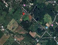 Incumber Sylvia Jones is PC candidate for Dufferin-Caledon