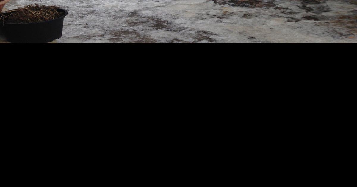 The Aftermath: Bolton residents talk cleanup and cost after flood