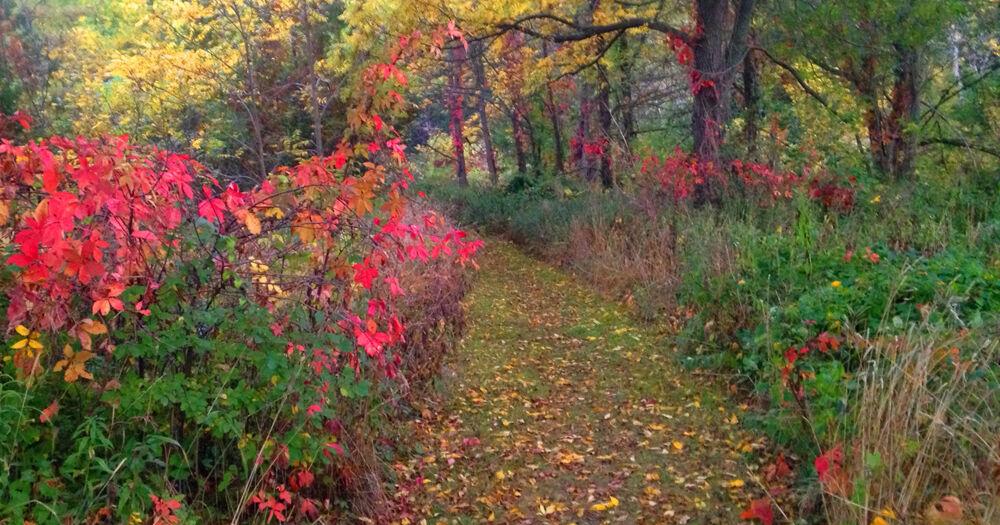 6 great places to enjoy the fall colours in Caledon
