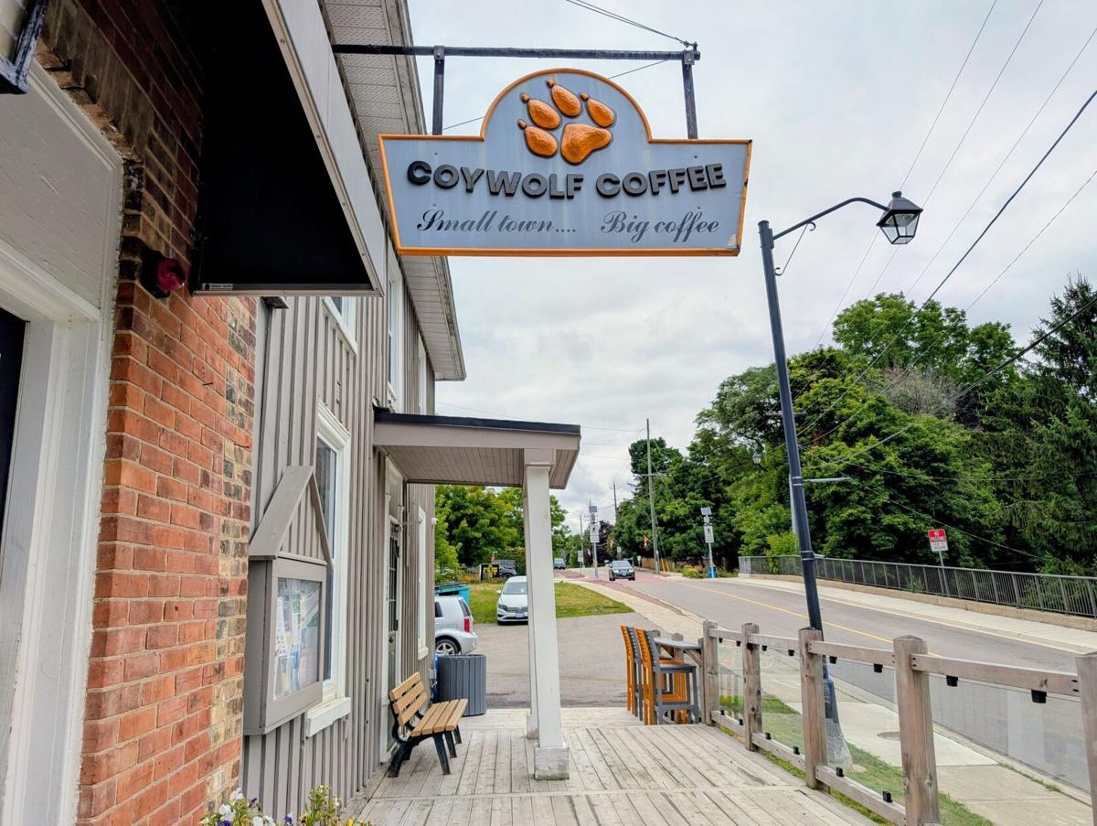 coywolf cafe