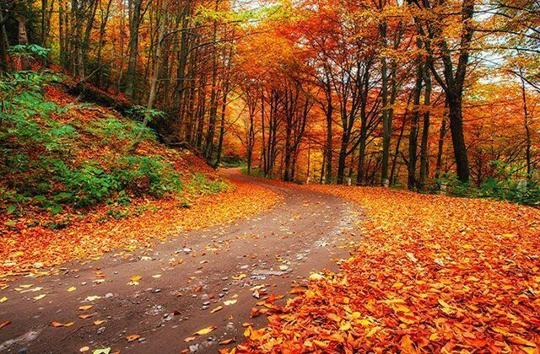 5 best places to see fall colours in Caledon