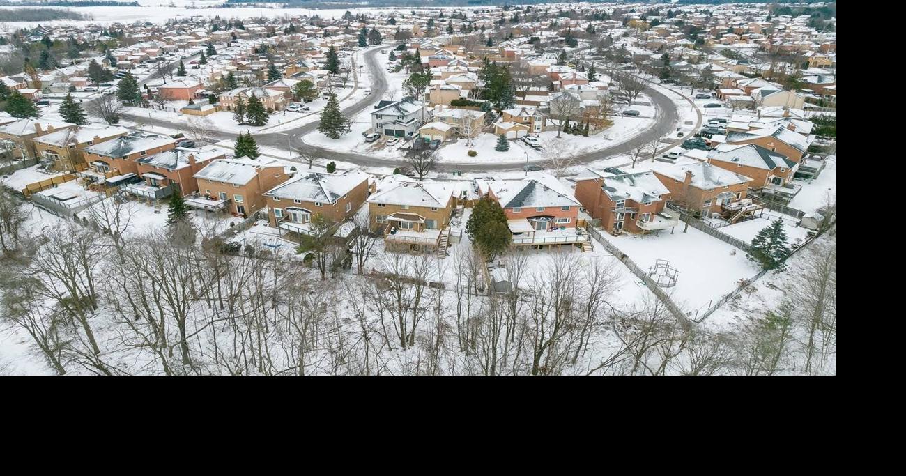 John Clarkson Park skate loop to officially open on Family Day