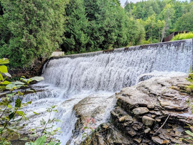 Discover 6 germs in Caledon’s Belfountain Conservation Area