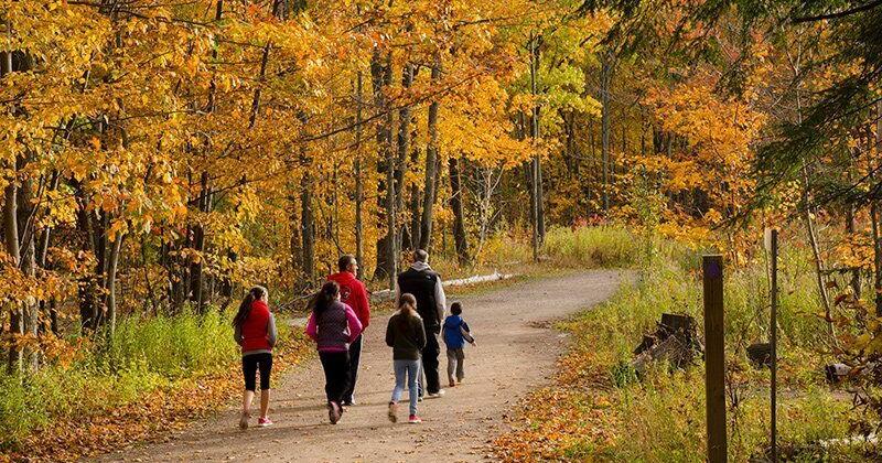 How to view Caledon’s fall colours without getting a ticket