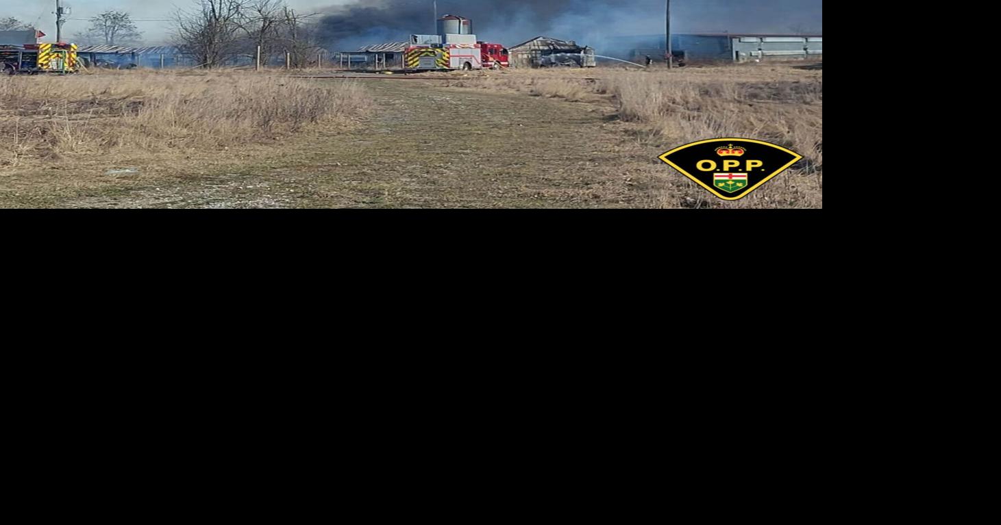 Caledon homes evacuated as firefighters douse grass fire