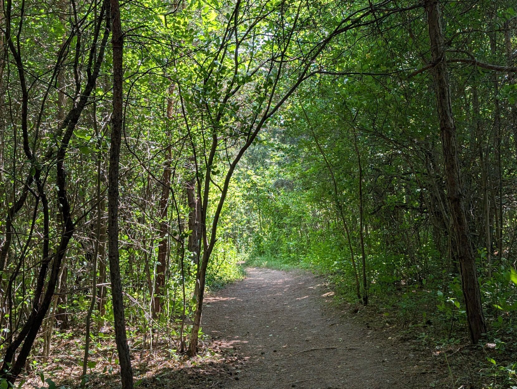 A walk through the Cheltenham Badlands in Caledon