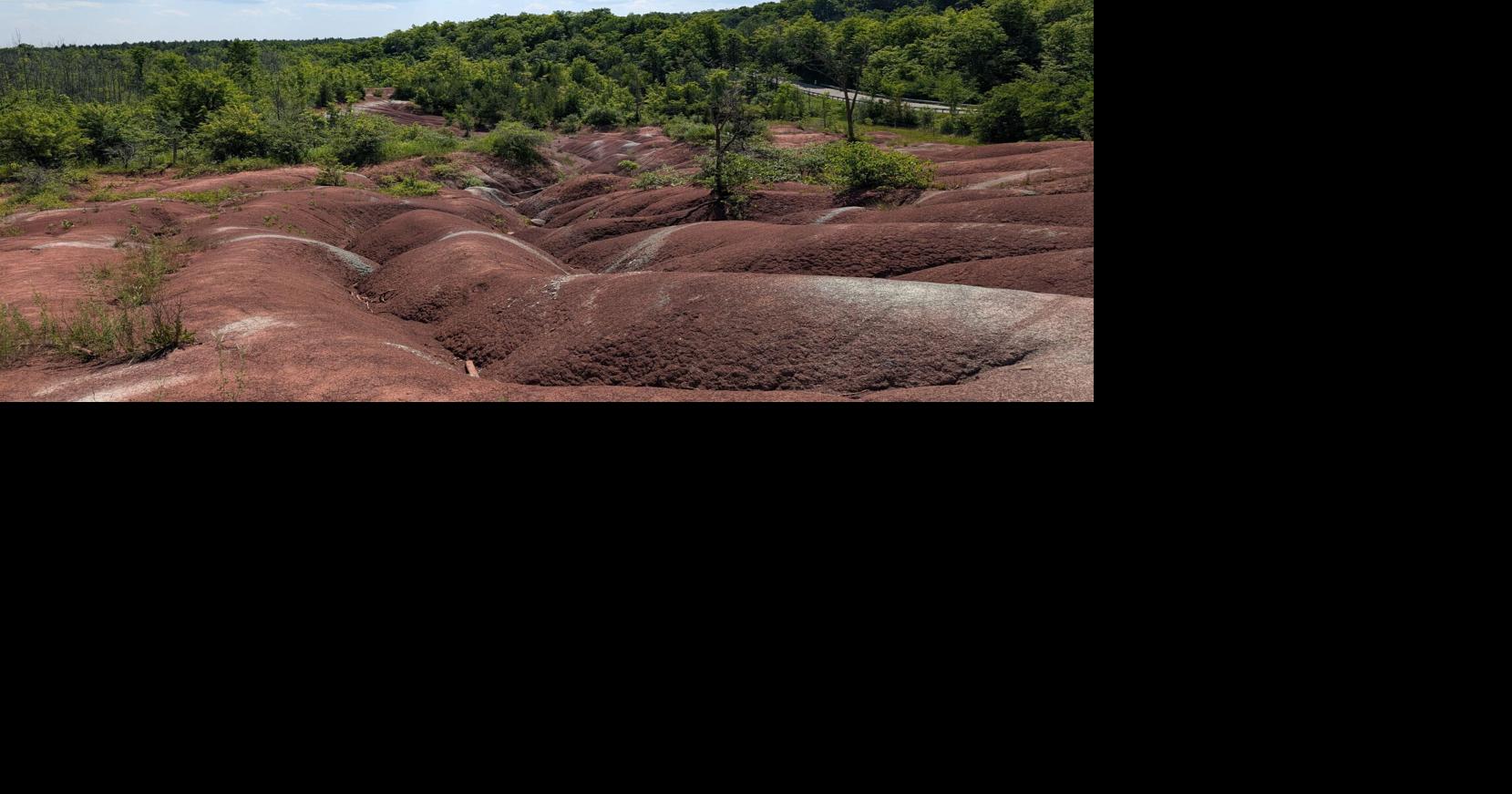 A walk through the Cheltenham Badlands in Caledon