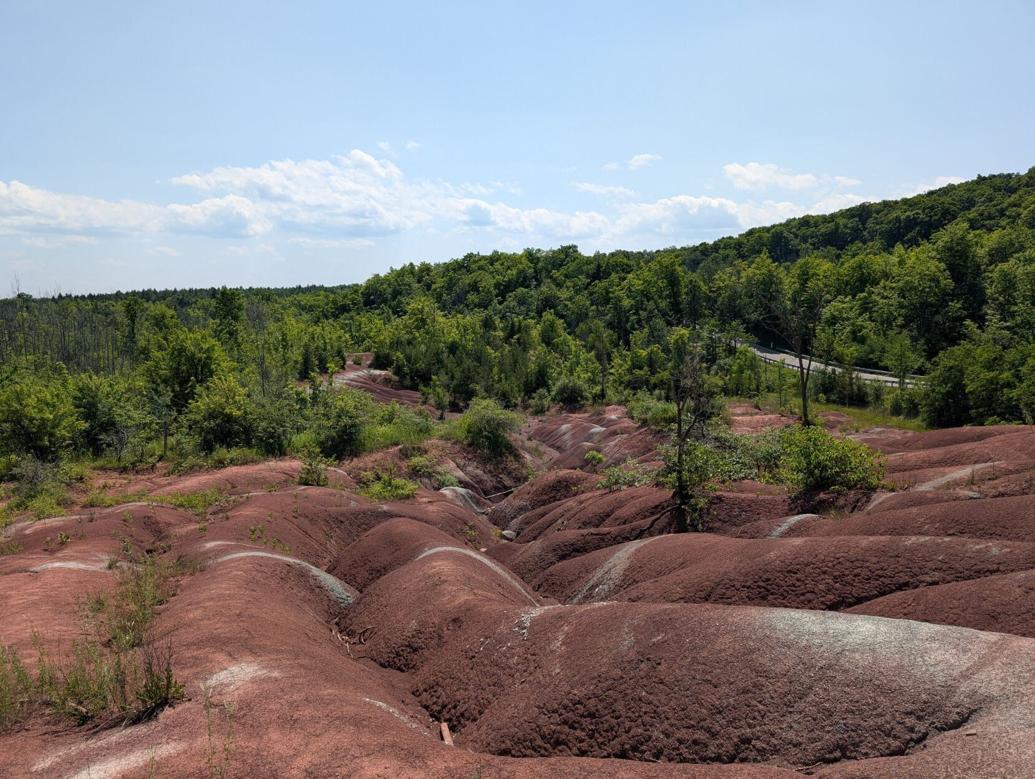 A walk through the Cheltenham Badlands in Caledon