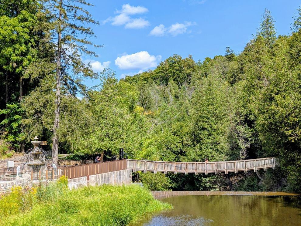 Discover 6 germs in Caledon’s Belfountain Conservation Area
