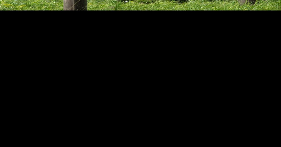 What’s going on here? Caledon unveils new community signs