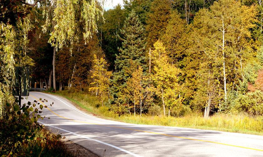 6 great places to enjoy the fall colours in Caledon
