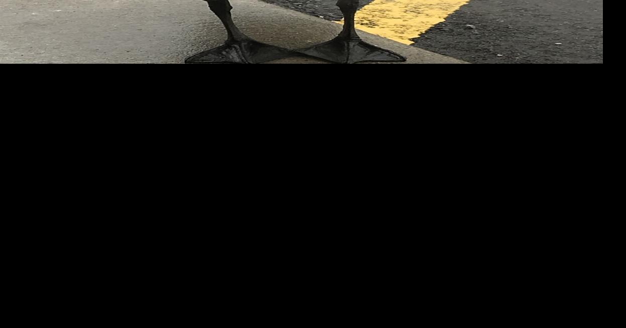 Helpful tips on how to deal with aggressive geese