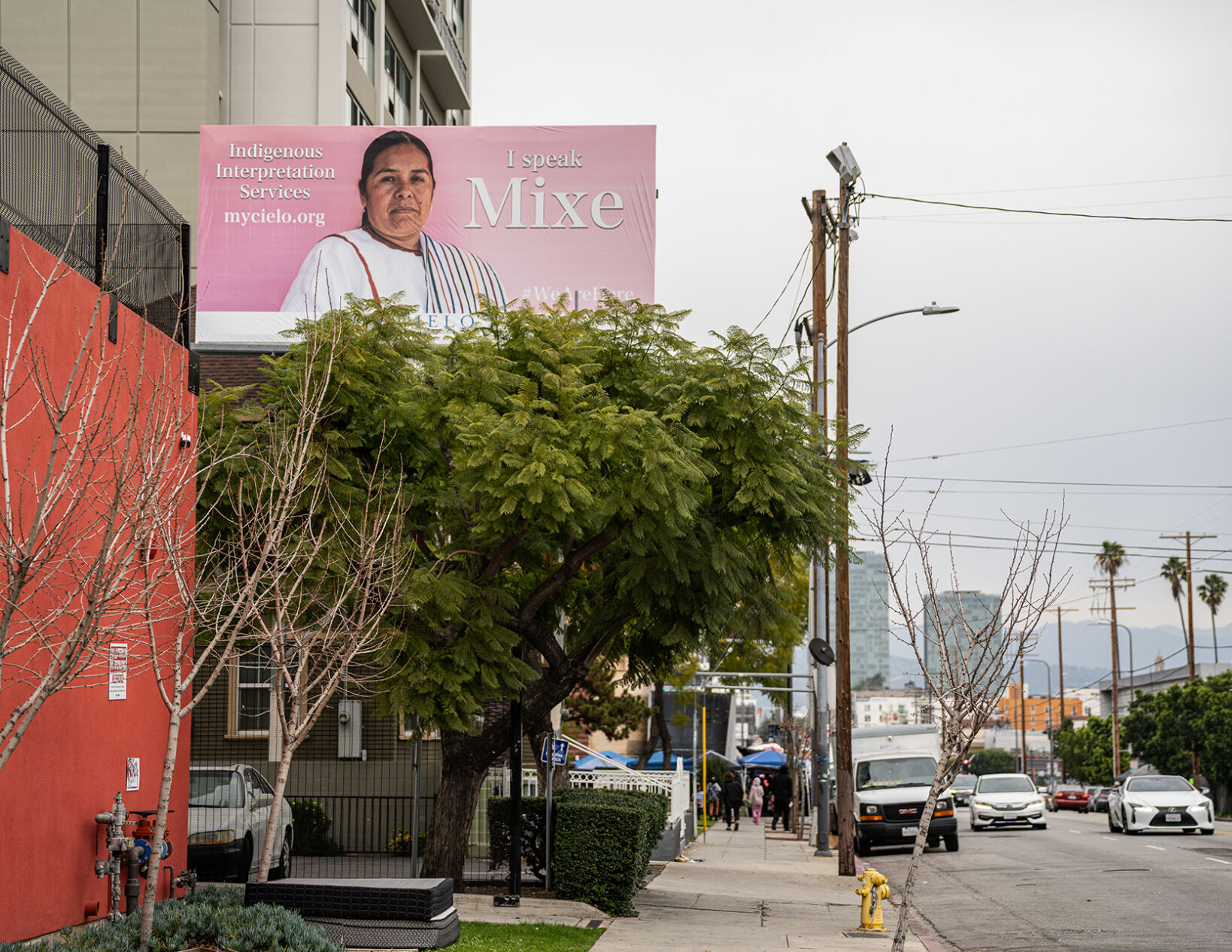 New billboards promote inclusivity of Indigenous migrants | Art ...