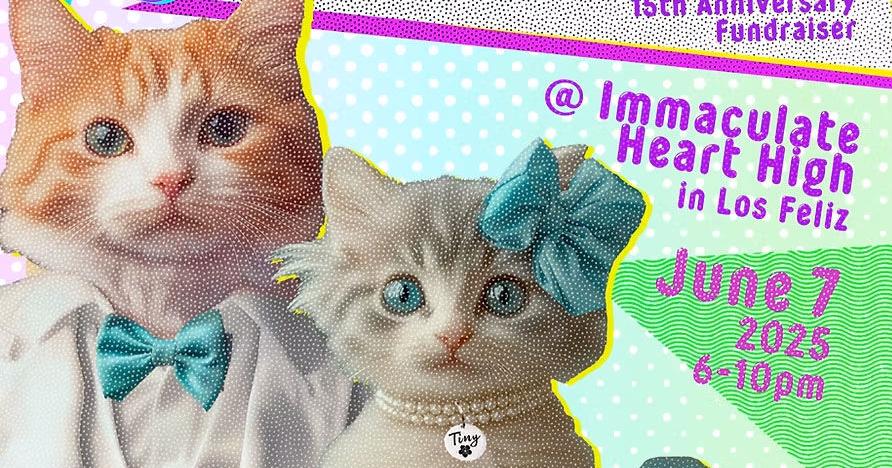 A prom with cats | Los Angeles | calonews.com