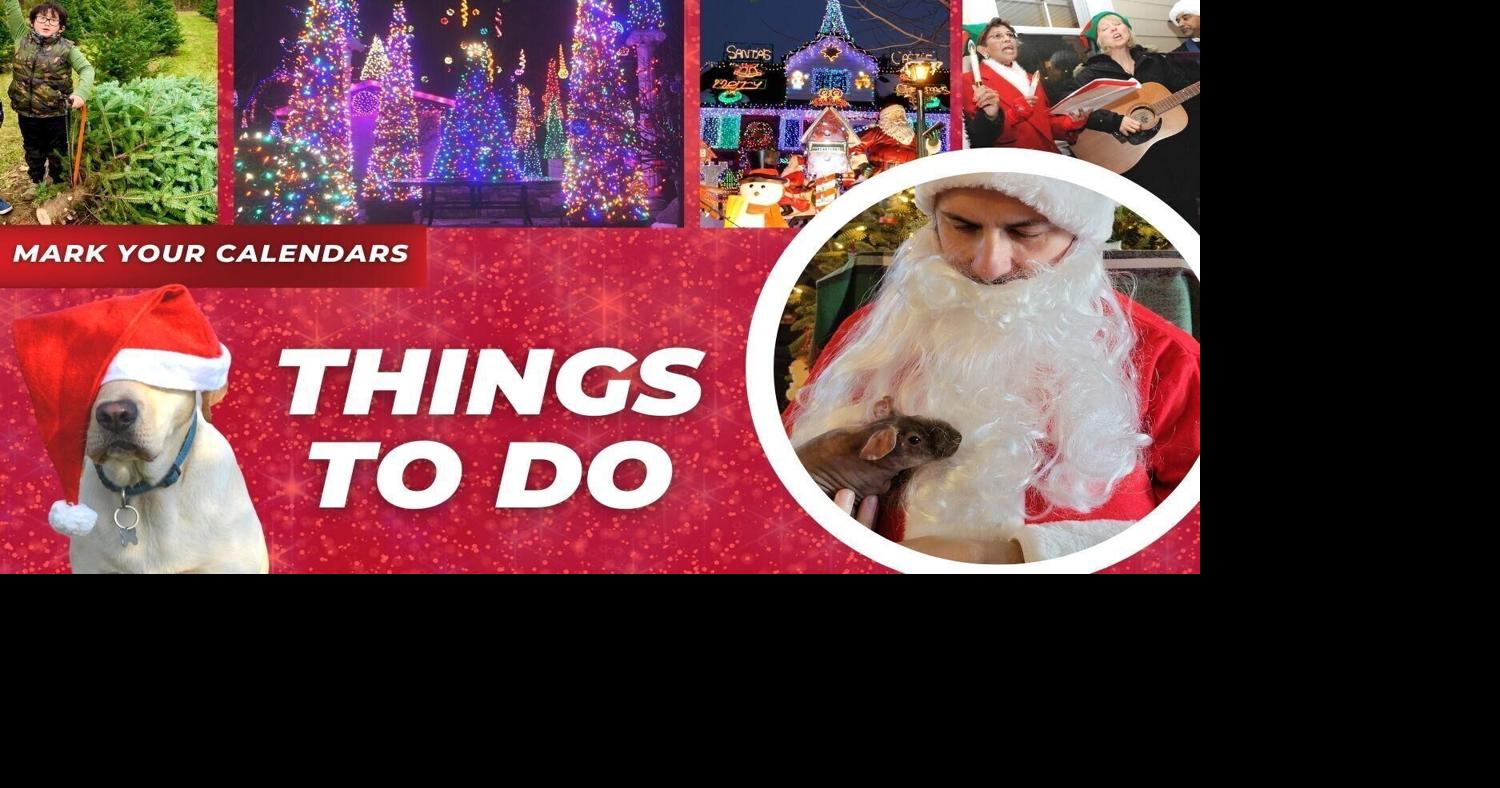 Things to do in Guelph and Waterloo Region this weekend