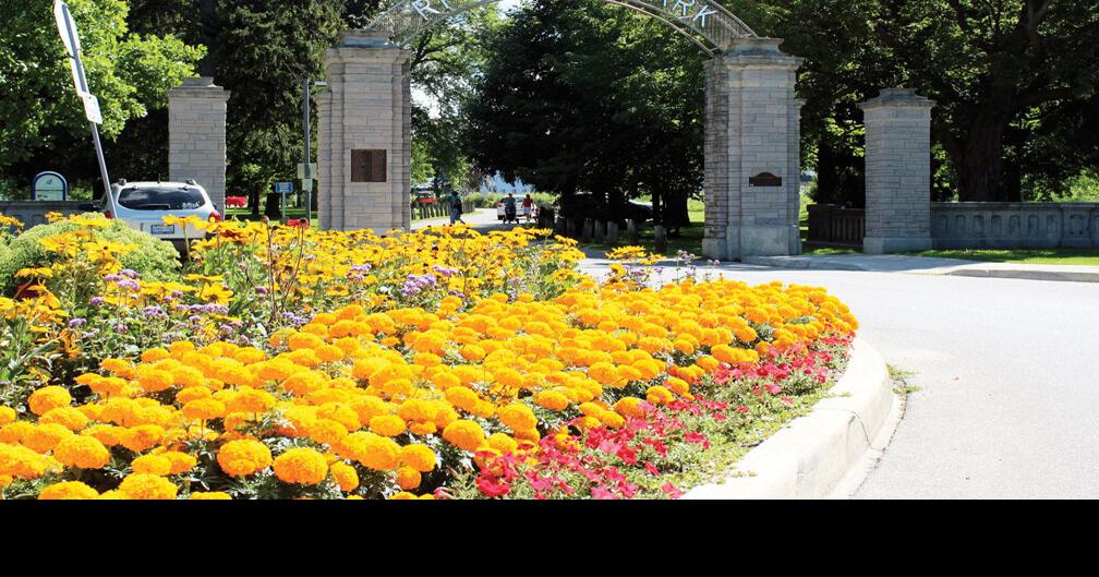 Multiplex would 'destroy' Riverside Park, Coun. Reid worries