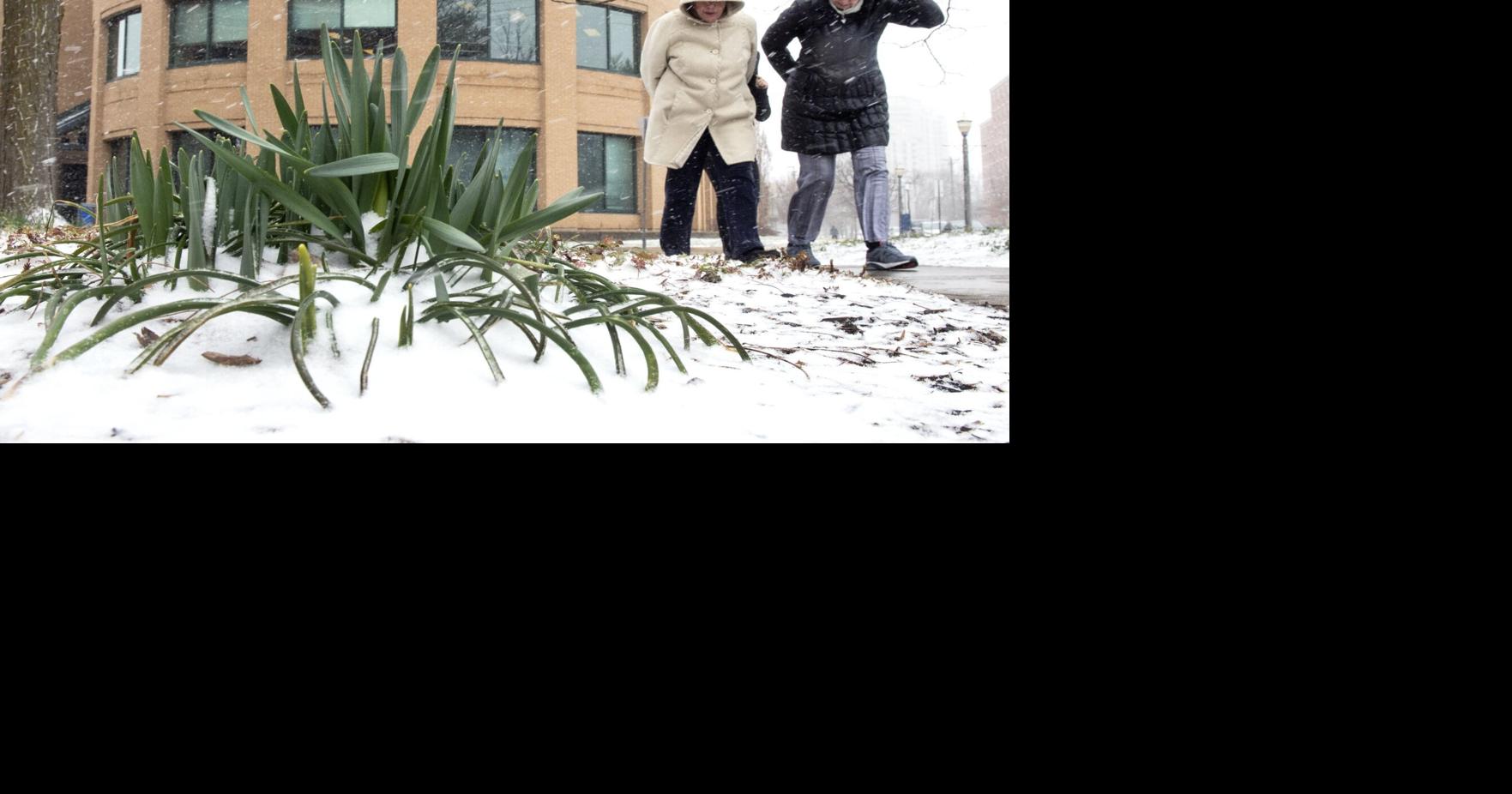 Snowfall in Waterloo Region contrast record-breaking winter