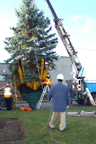 Raising trees and spirits