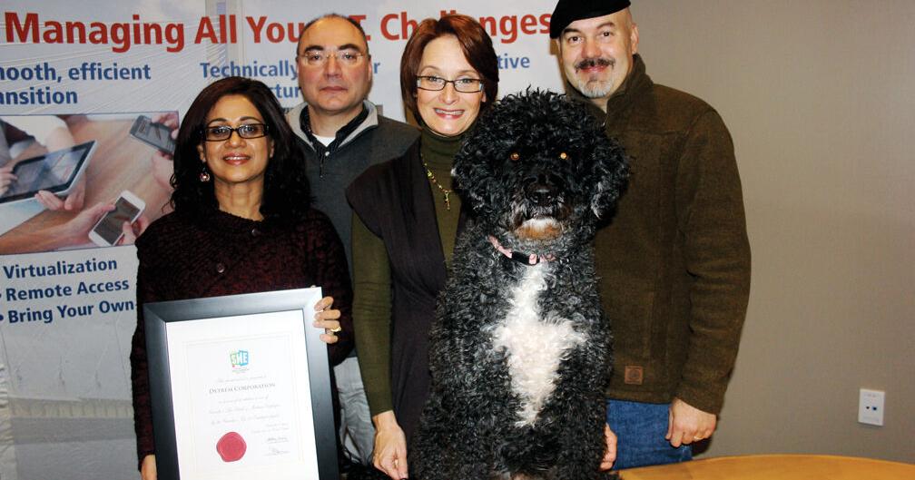 This Cambridge company's chief morale officer is a dog