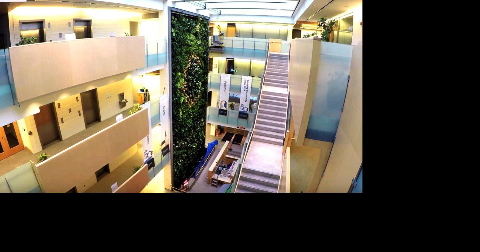 Living wall resurrected in Cambridge city hall
