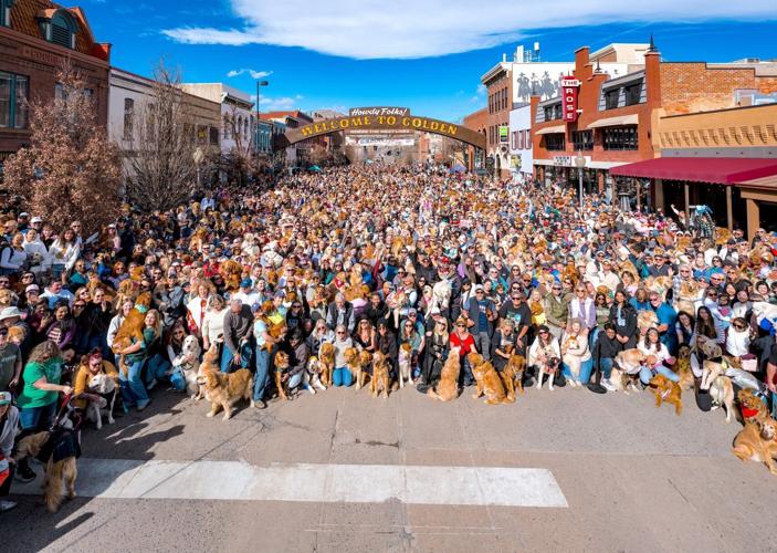 Goldens in Golden draws thousands of people and pets | Community ...