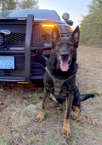 Mashpee Police K-9 Locates Missing Juvenile | Mashpee Details ...