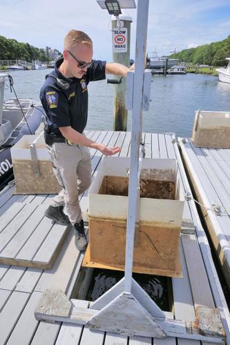 Mashpee Shellfish Warden Looks To Reenvision Aquaculture Program ...