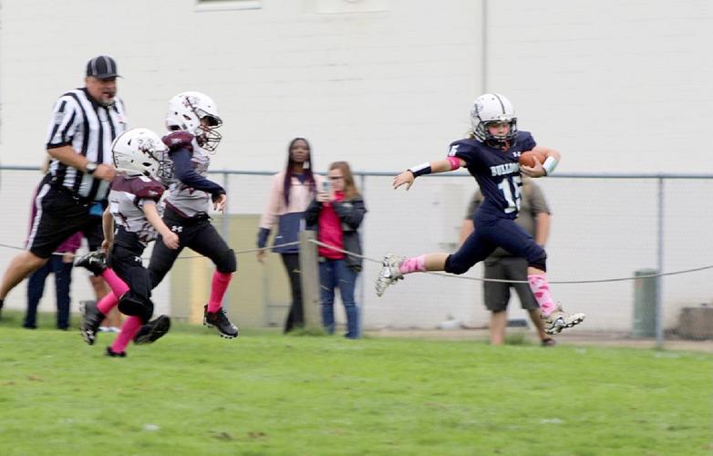Sandwich Bulldogs Mites Starting Quarterback Is League Leader (And A ...