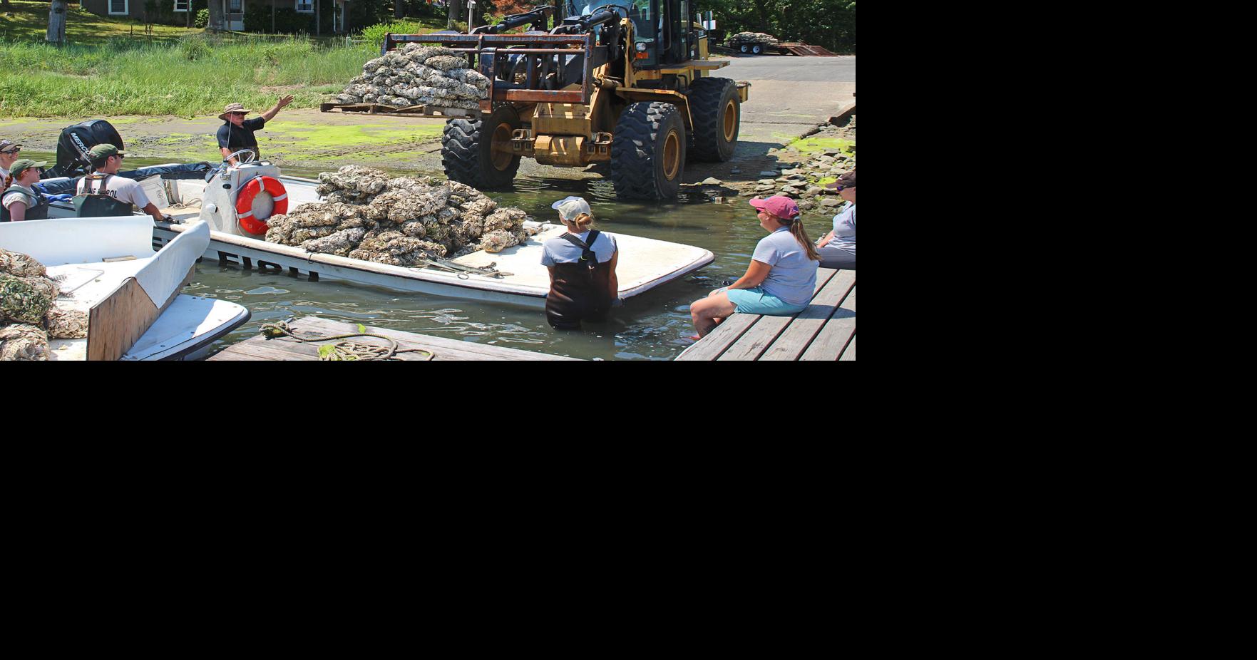 The Shellfish Arrive | Mashpee News | capenews.net
