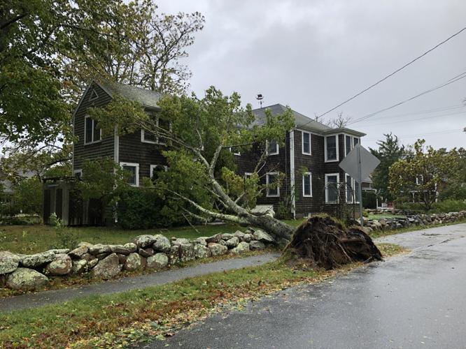 Falmouth Grapples With Downed Trees, Closed Roads, Power Outages In ...