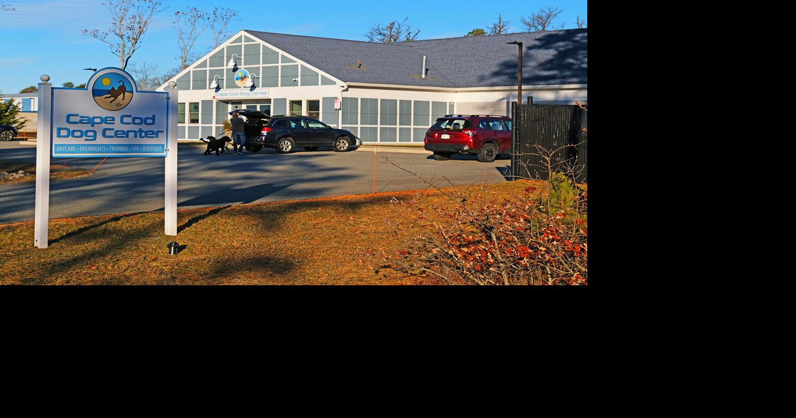After Much Debate, Town Renews Cape Cod Dog Center Kennel License With ...