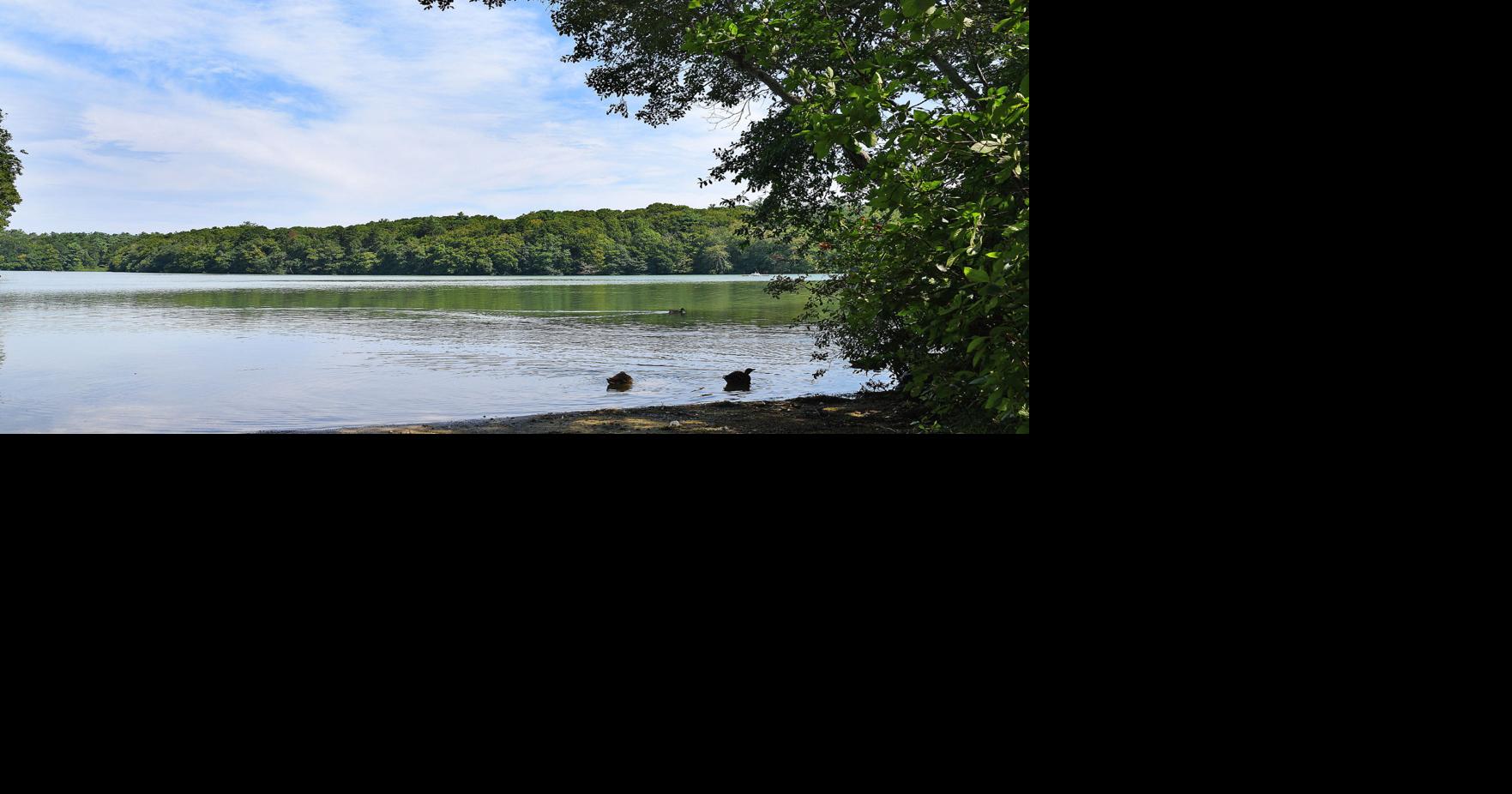 Mashpee Awarded $131,000 To Make Santuit Pond More Resilient To Warming ...