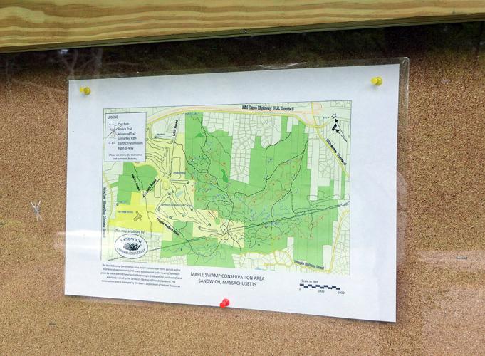 Conservation Lands In Sandwich Becoming More User-Friendly | Sandwich ...