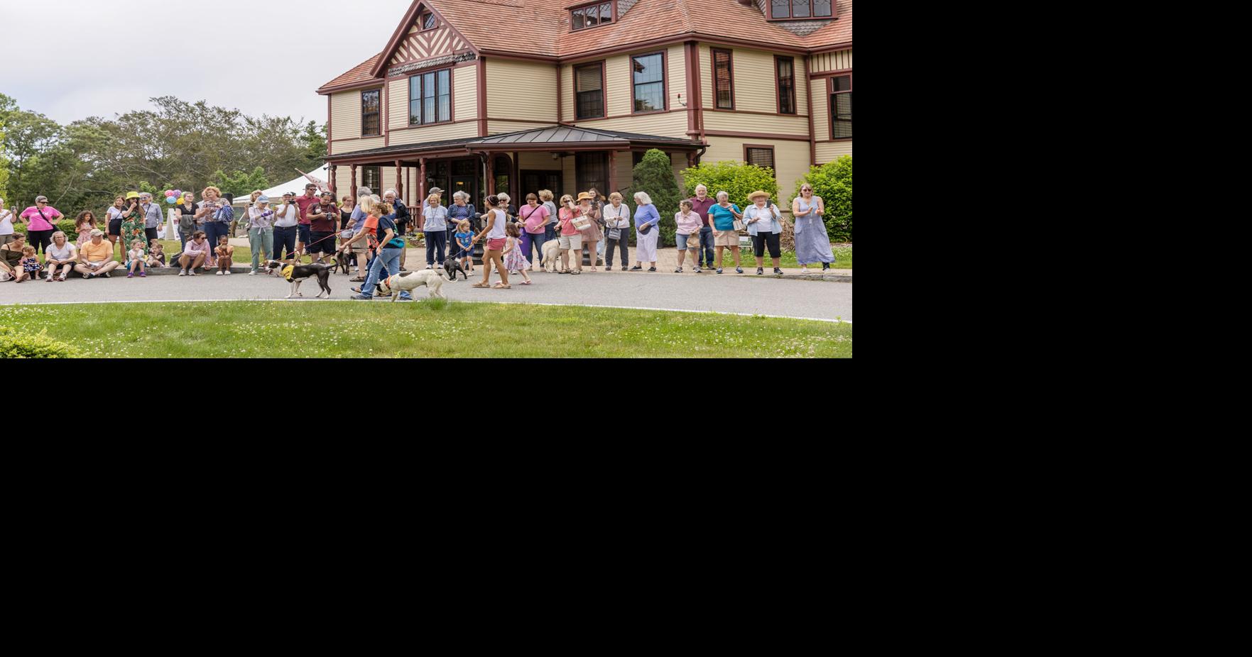 Hounds Of Highfield Will Celebrate All Things Canine | Arts ...