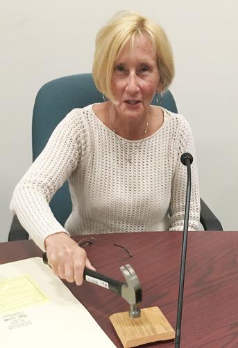 Select Board Chairwoman, Citizen Of The Year Carol Sherman Reflects: 'I ...