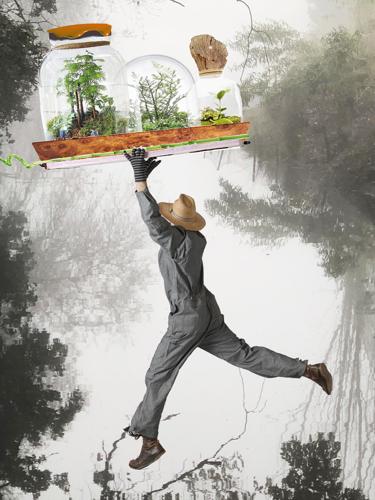 Mural Of Enormous Tree Takes Center Stage At Cahoon | Arts ...