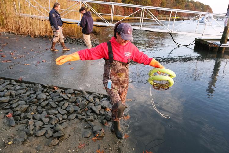 PHOTOS: Mashpee Shellfishing First Day | Mashpee | capenews.net