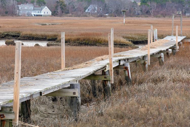 The week In Photos - January 13, 2023 | Photography | capenews.net