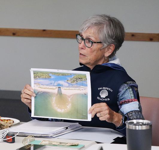 Falmouth Beach Committee Pursues Sustainability Plans | Falmouth News ...