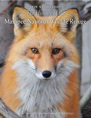 History Of Mashpee Wildlife Refuge Told With Booklet, Trail Map Release ...