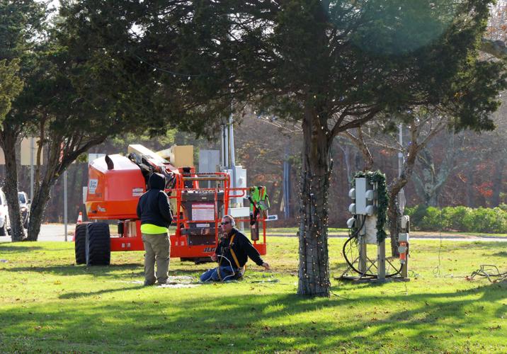 The Week In Photos - November 27, 2020 | Photography | capenews.net