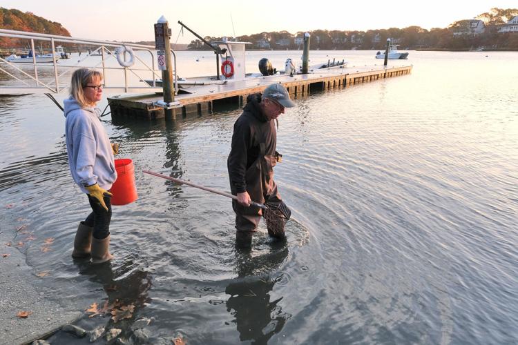 PHOTOS: Mashpee Shellfishing First Day | Mashpee | capenews.net