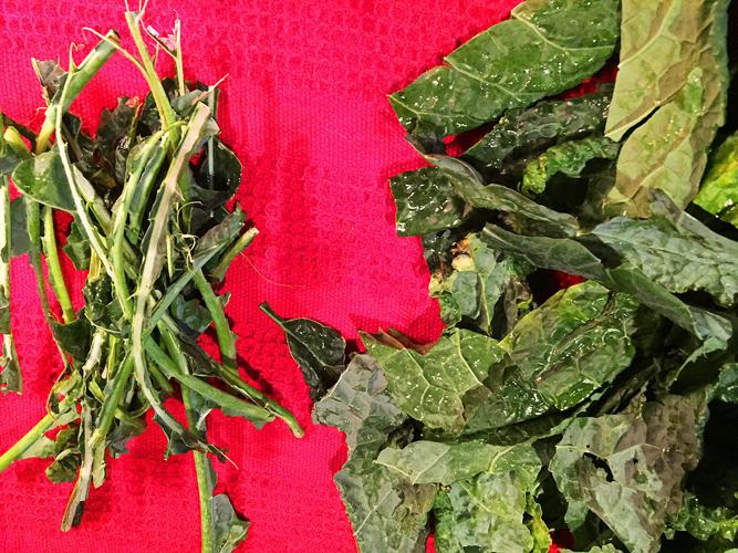 Gourmets And Good Eaters: Bringing The Goodness Of Kale To France ...