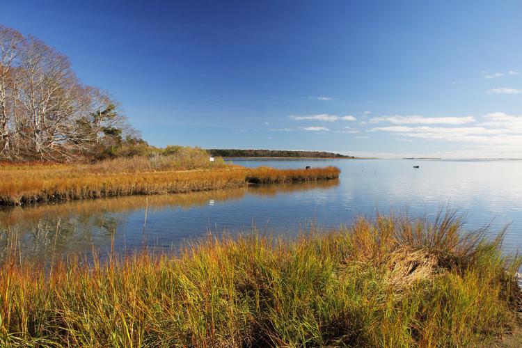 The Week In Photos - November 20, 2015 | Photography | capenews.net