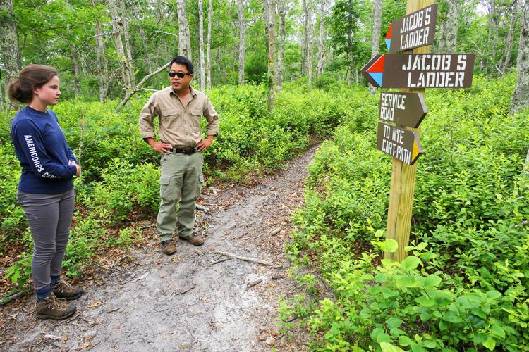 Maple Swamp Offers Visitors New Highs | Regional News | capenews.net