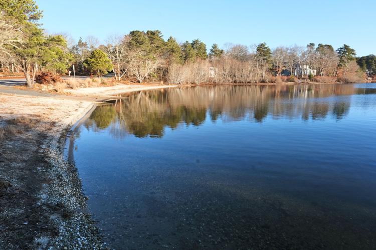 Mashpee's Ashumet, Johns Ponds Post Fish Consumption Warnings | Mashpee ...