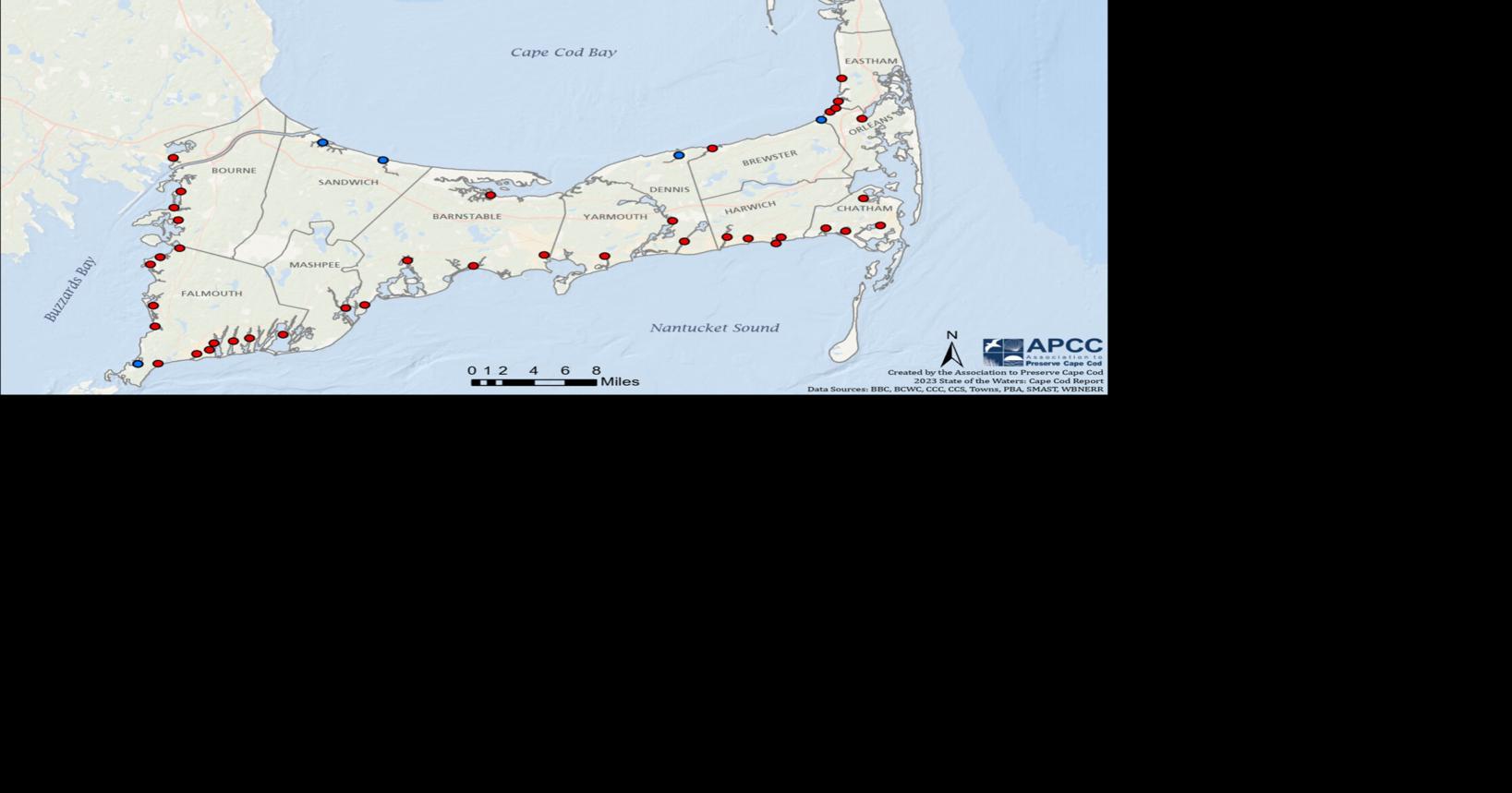APCC: Water Quality In Cape Bays, Ponds Remained Poor In 2023 ...
