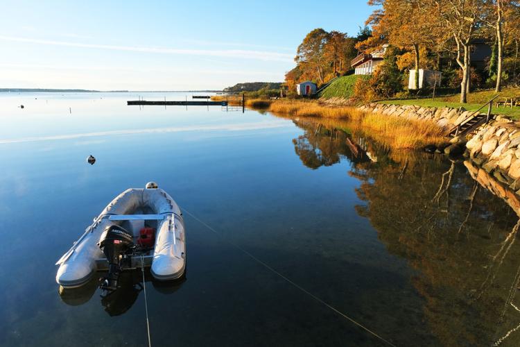 The Week In Photos - November 5, 2021 | Photography | capenews.net
