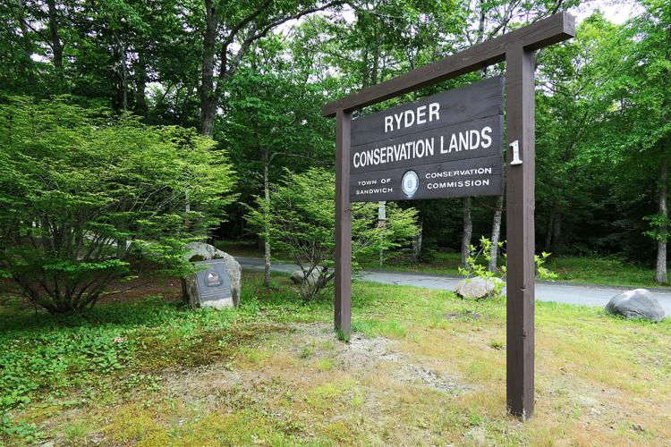 Conservation Lands In Sandwich Becoming More User-Friendly | Sandwich ...